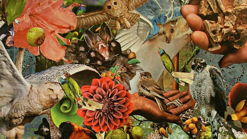 15 Types of Quizzes: Templates & Examples | Opinion Stage