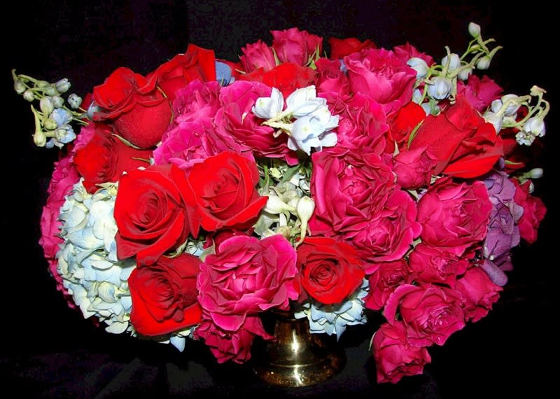 Red Cremon Flower | Best Flower Site