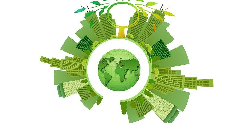 Environmental Survey Template