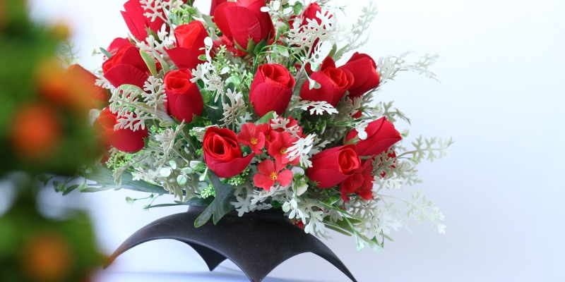 Red Cremon Flower | Best Flower Site